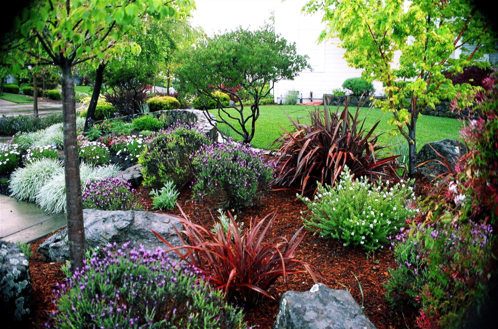 Santa Rosa Fine Gardens Installed | Details Landscape Art