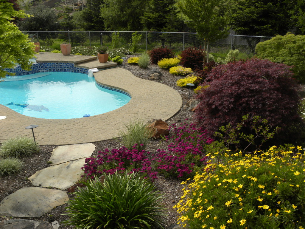 Using Deer Resistant Plants | Details Landscape Art